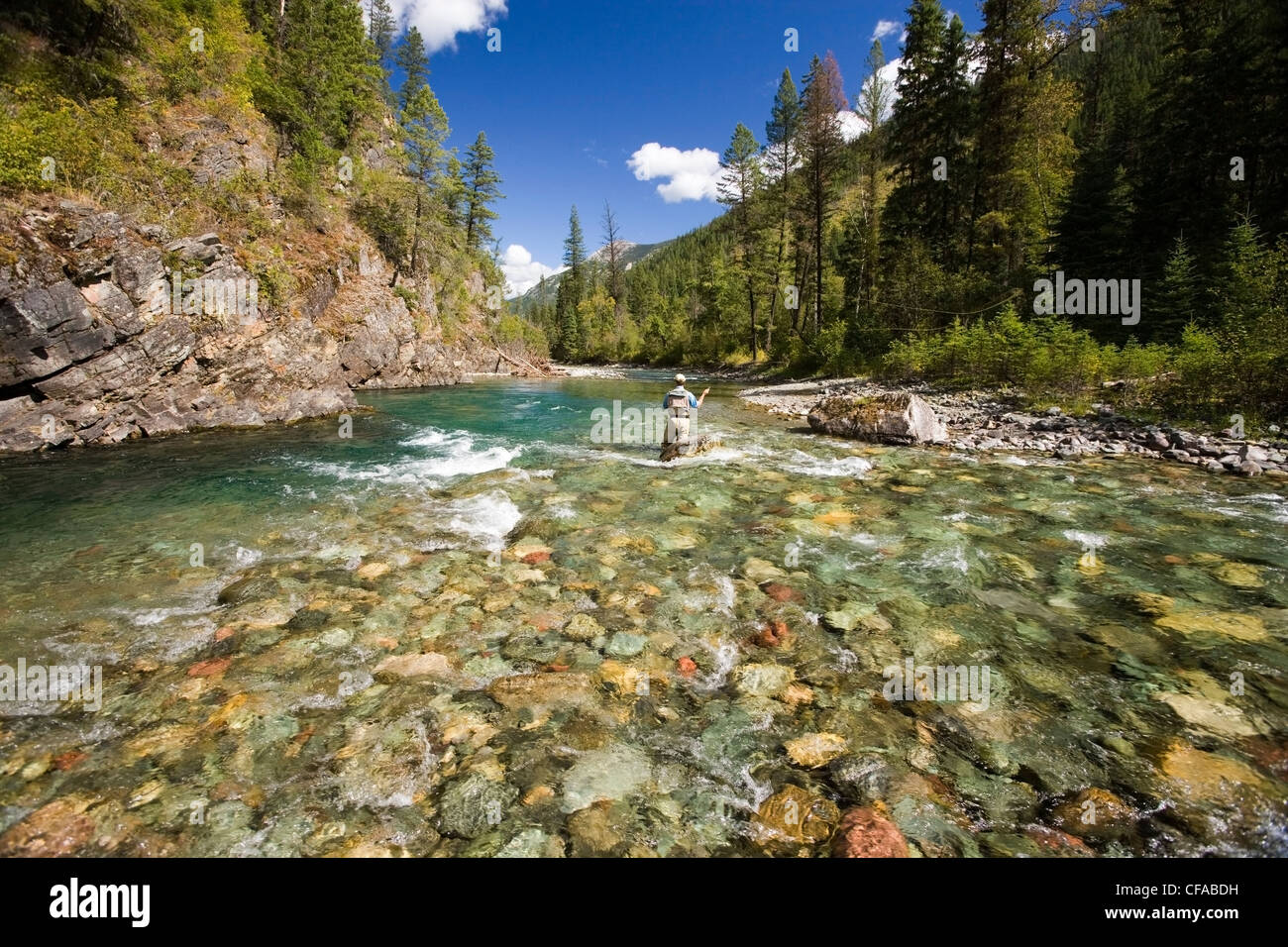 Fly-fishing on tributary of Elk River near Fernie, Elk Valley, East ...