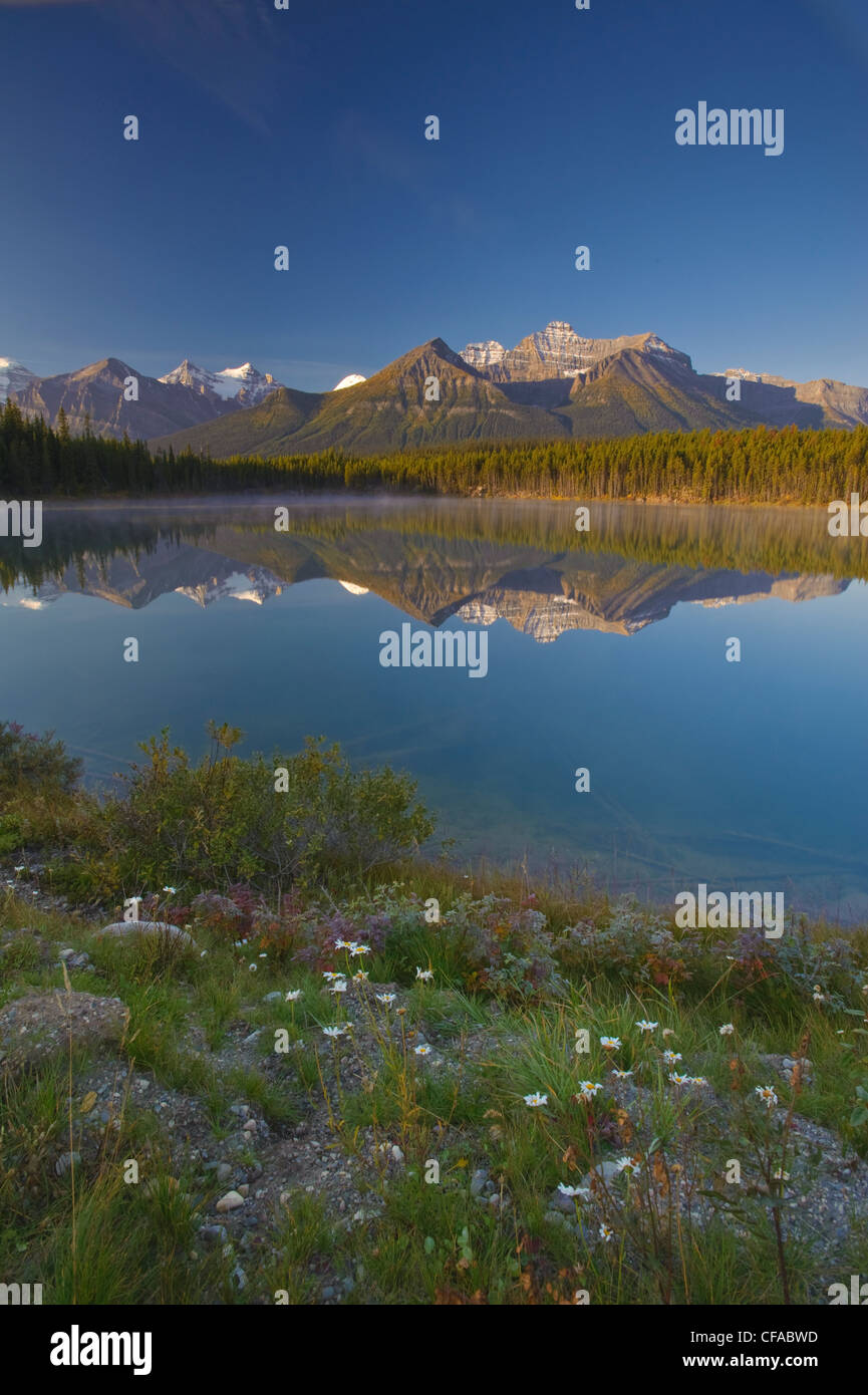 Herbert Lake in autumn, Banff National Park, Alberta, Canada Stock ...