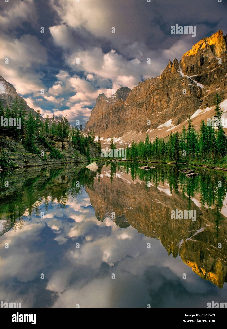 Reflecting pond on the Opabin Plateau, Yoho National Park, British ...