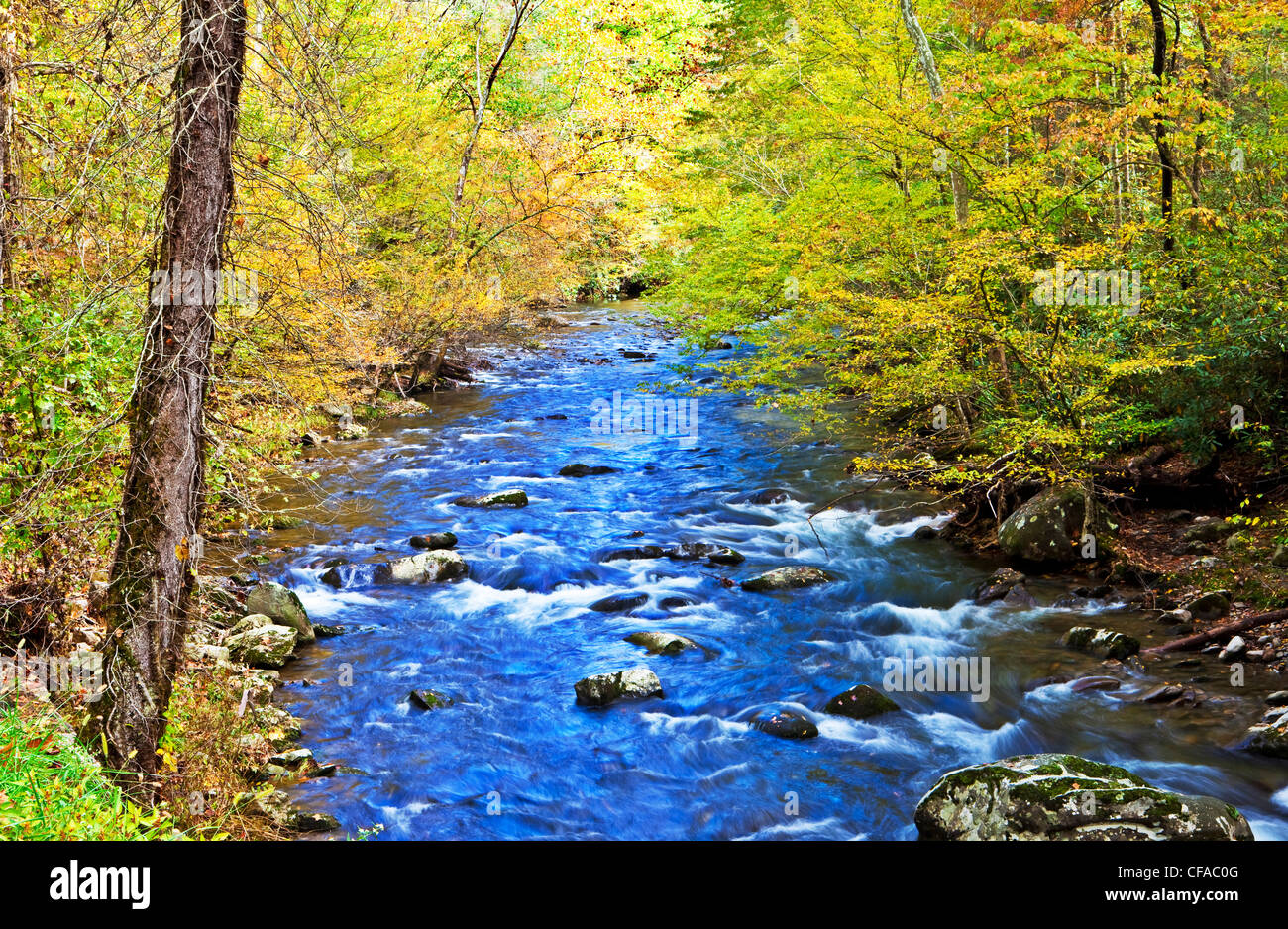 Little River, Great Smoky Mountain National Park, Tennessee, USA Stock ...