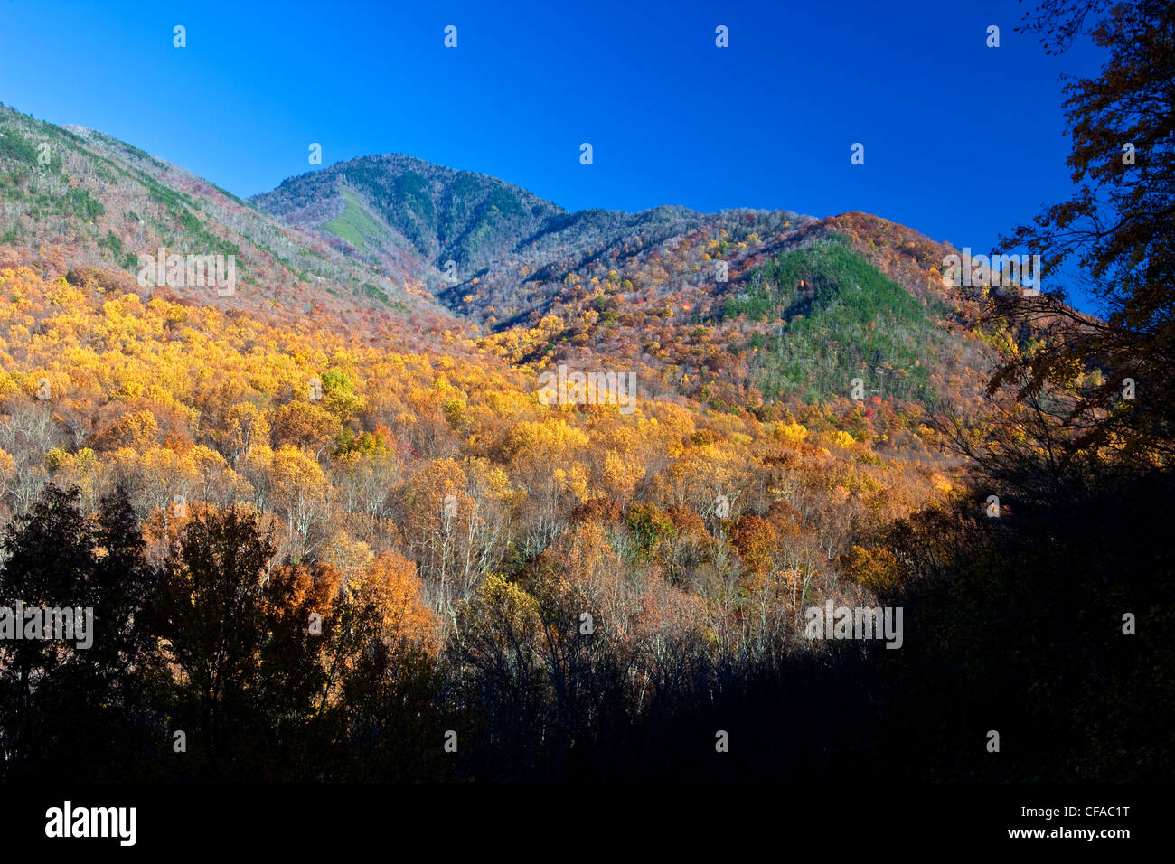 View of Great Smoky Mountains National Park, Tennessee, USA Stock Photo ...