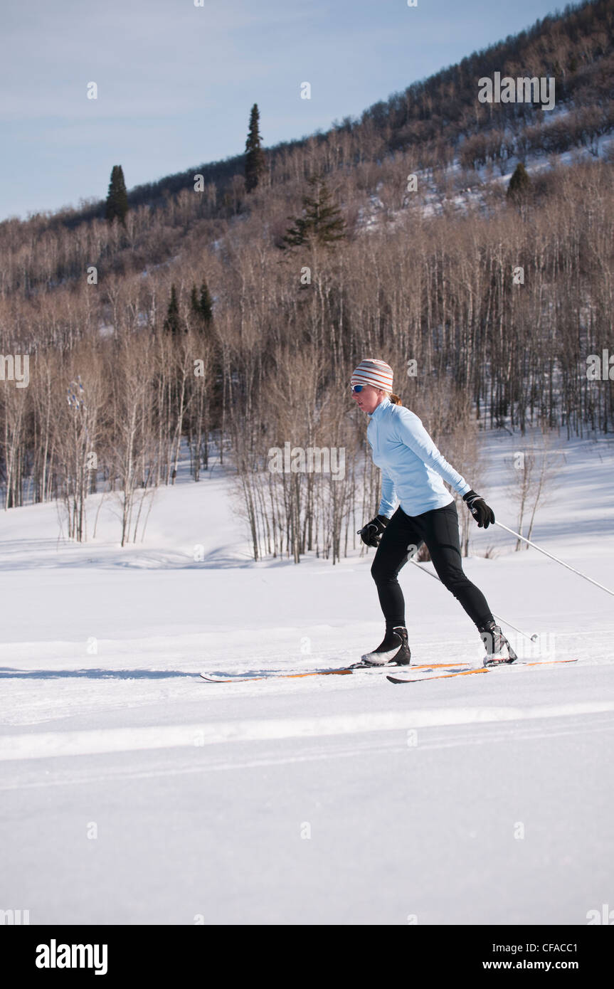 Cross country skier on snowy field Stock Photo - Alamy