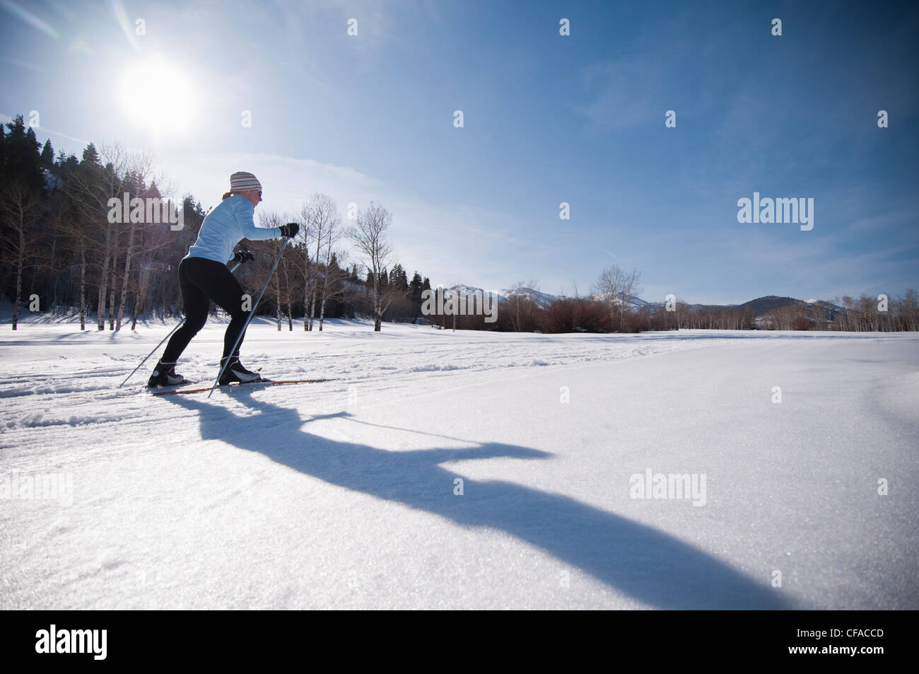 Cross country skier on snowy field Stock Photo - Alamy