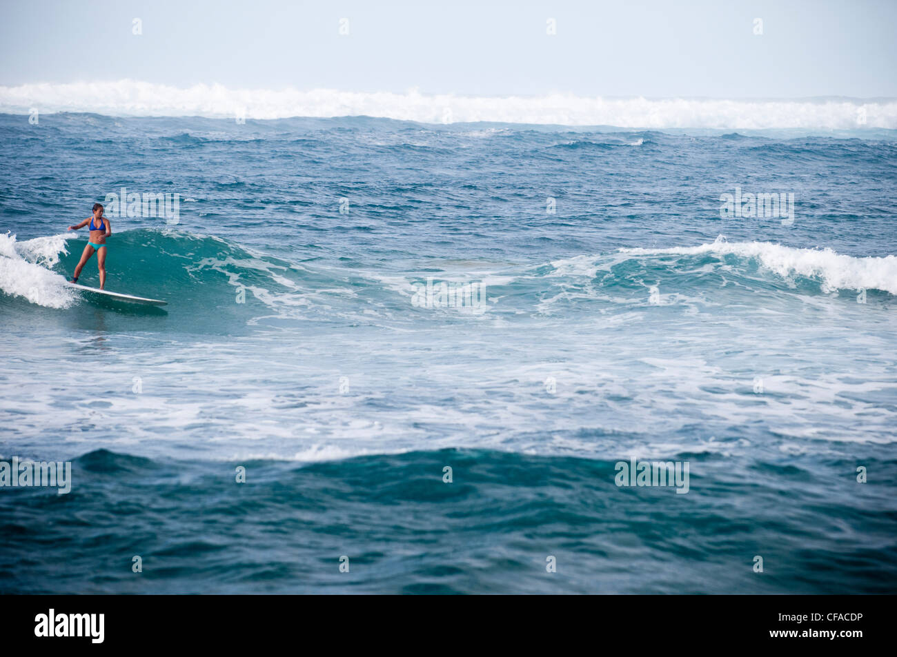 Female surfer riding ocean wave, Sayulita, Nayarit, Mexico Stock Photo ...