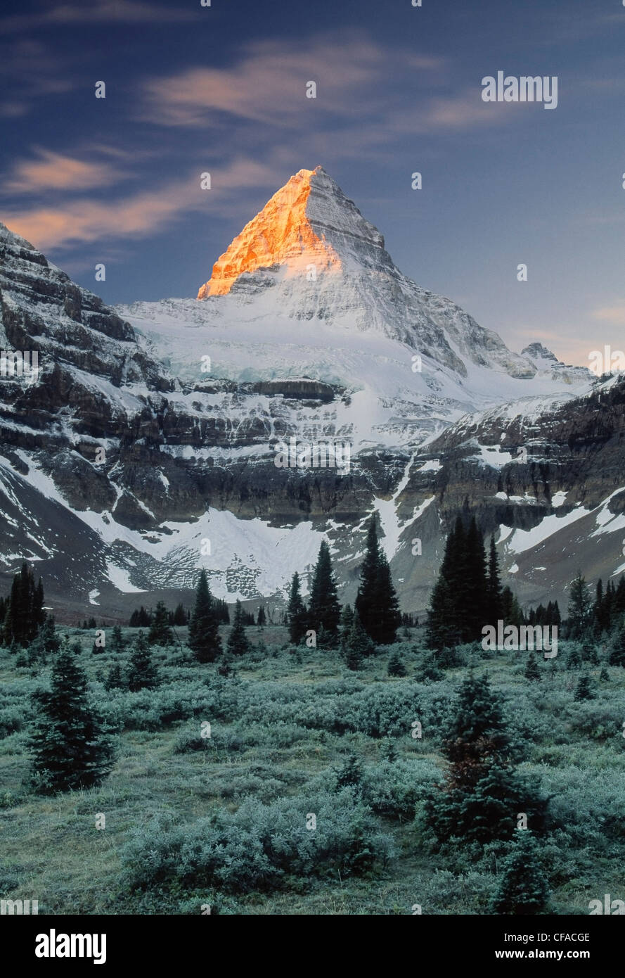 Mt assiniboine hi-res stock photography and images - Alamy