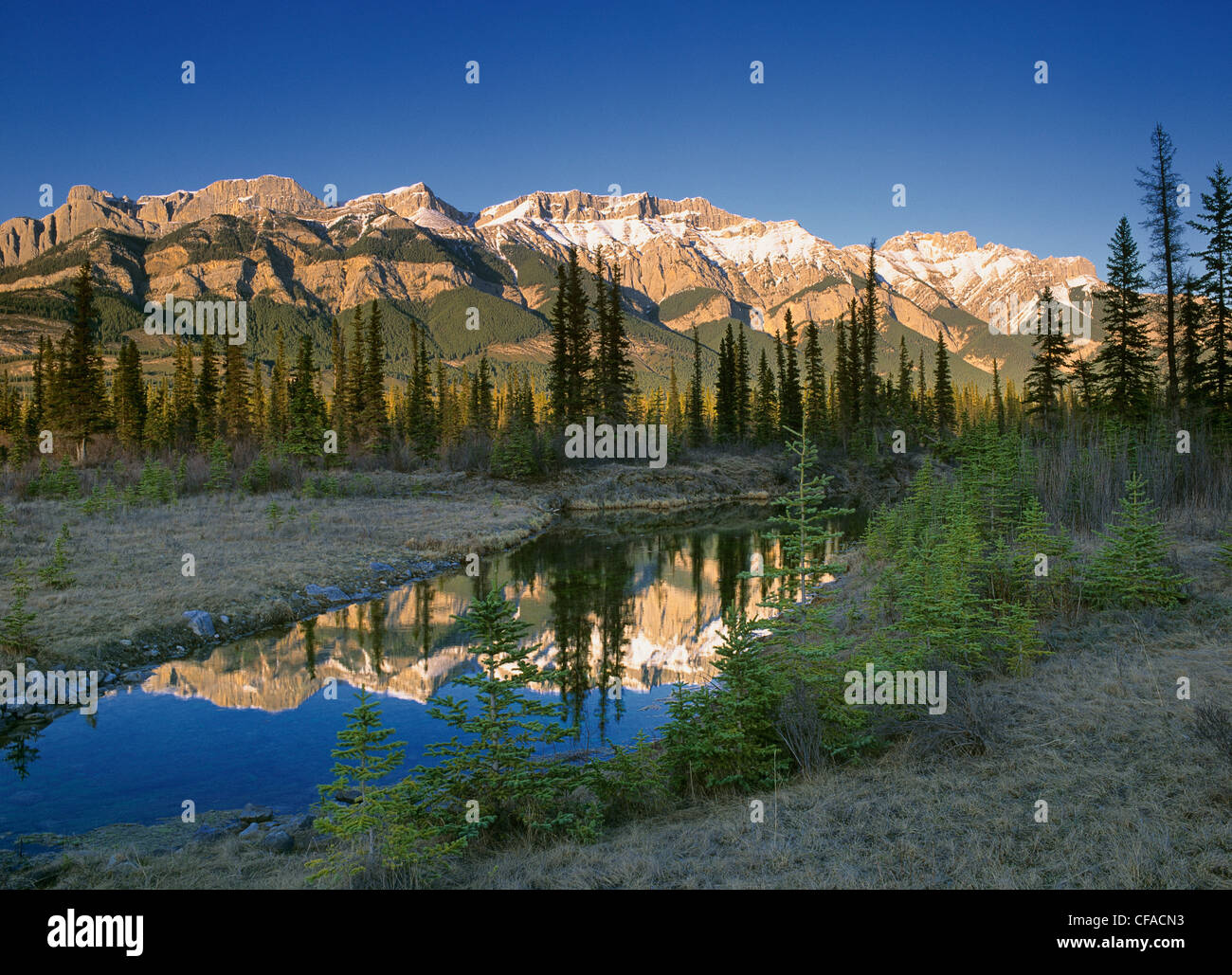 Miette mountain range hi-res stock photography and images - Alamy