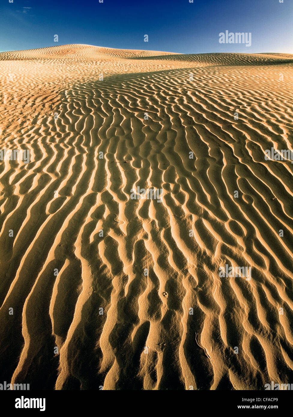 Canada environment sandhills hi-res stock photography and images - Alamy