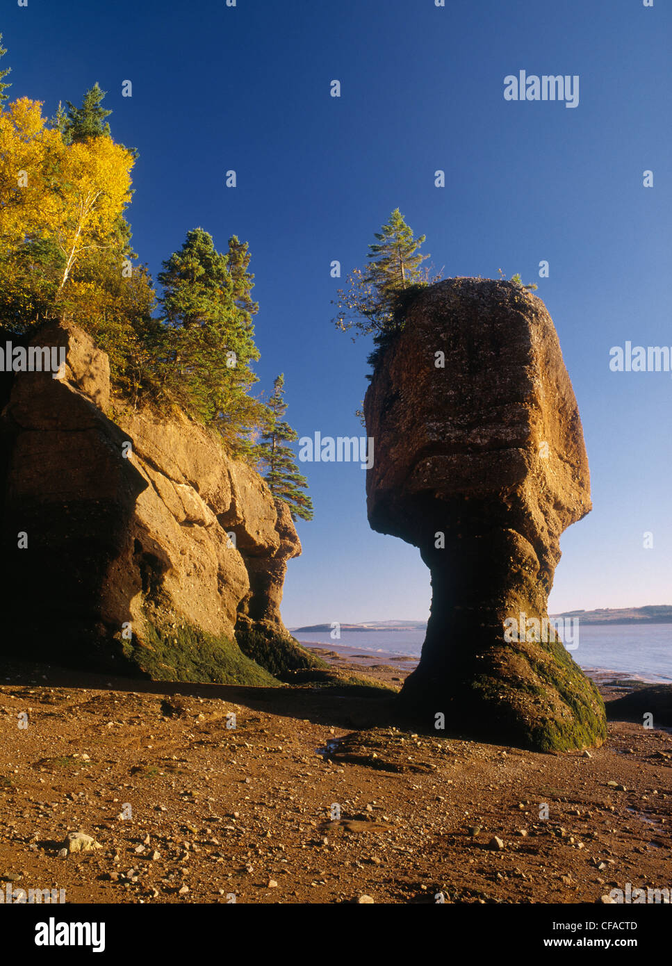 Distinctive eroded rock formations, Hopewell Rocks Provincial Park, New ...