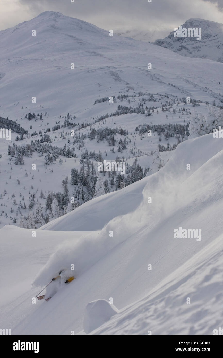 A male skier makes powder turns in the Sunshine Village Backcountry ...