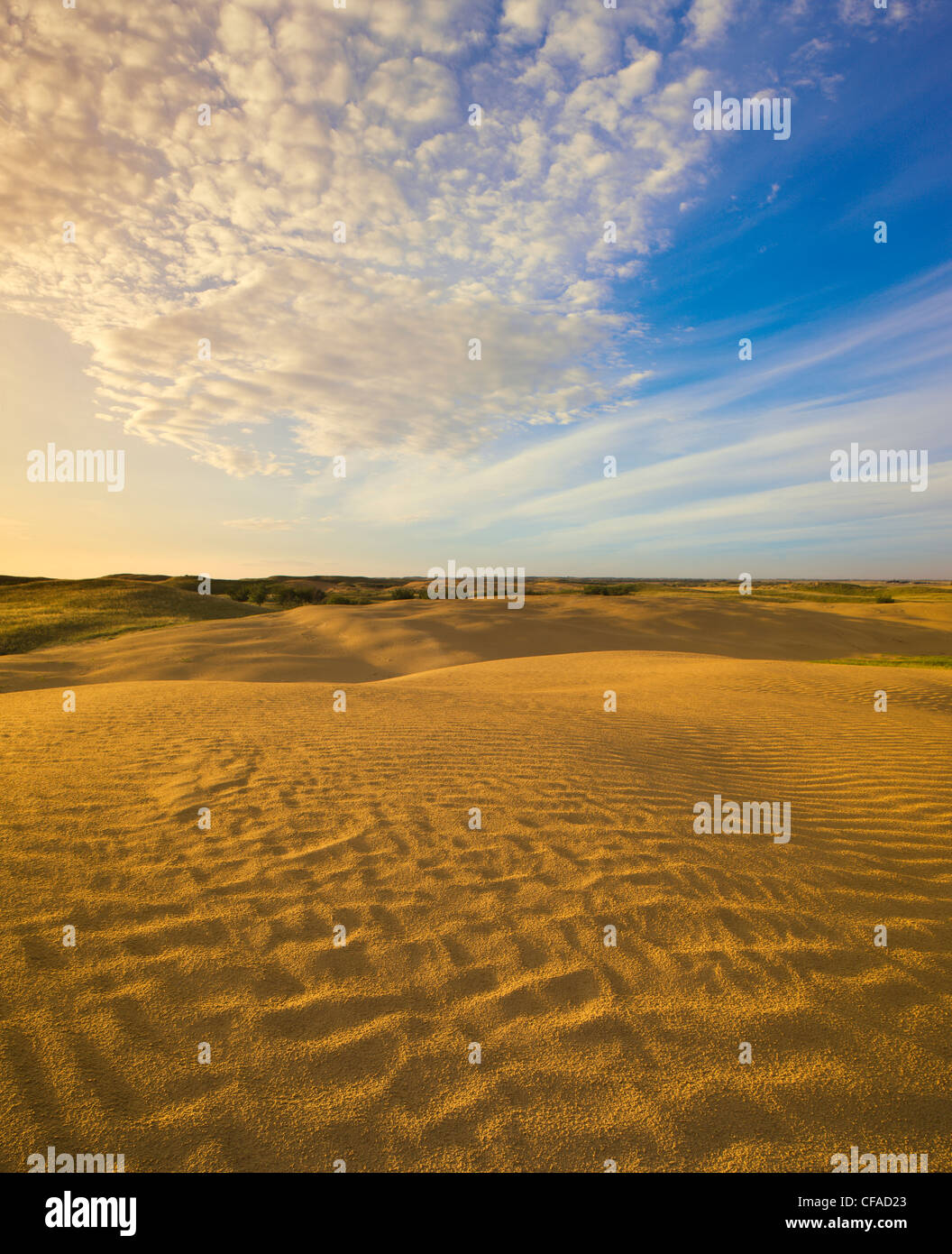 The great leader hi-res stock photography and images - Alamy