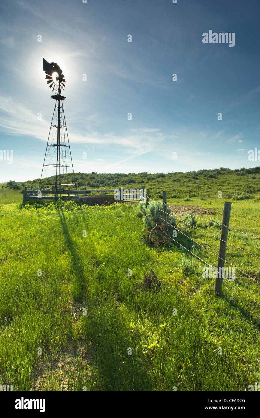 Windmill farm in saskatchewan hi-res stock photography and images - Alamy