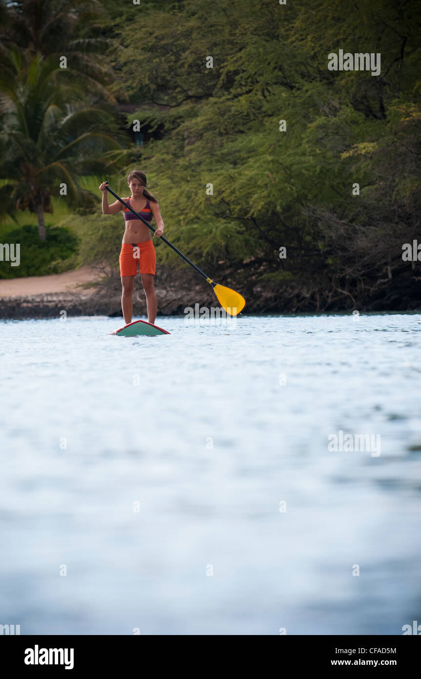 Surfer paddling surfboard in ocean Stock Photo - Alamy