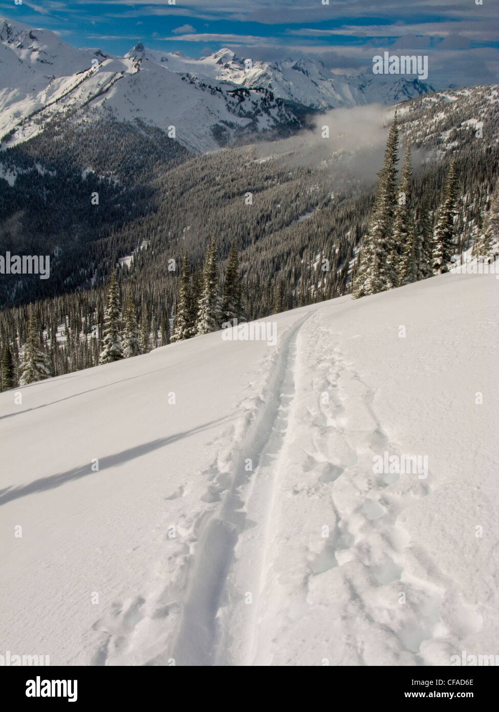 Skin track hi-res stock photography and images - Alamy