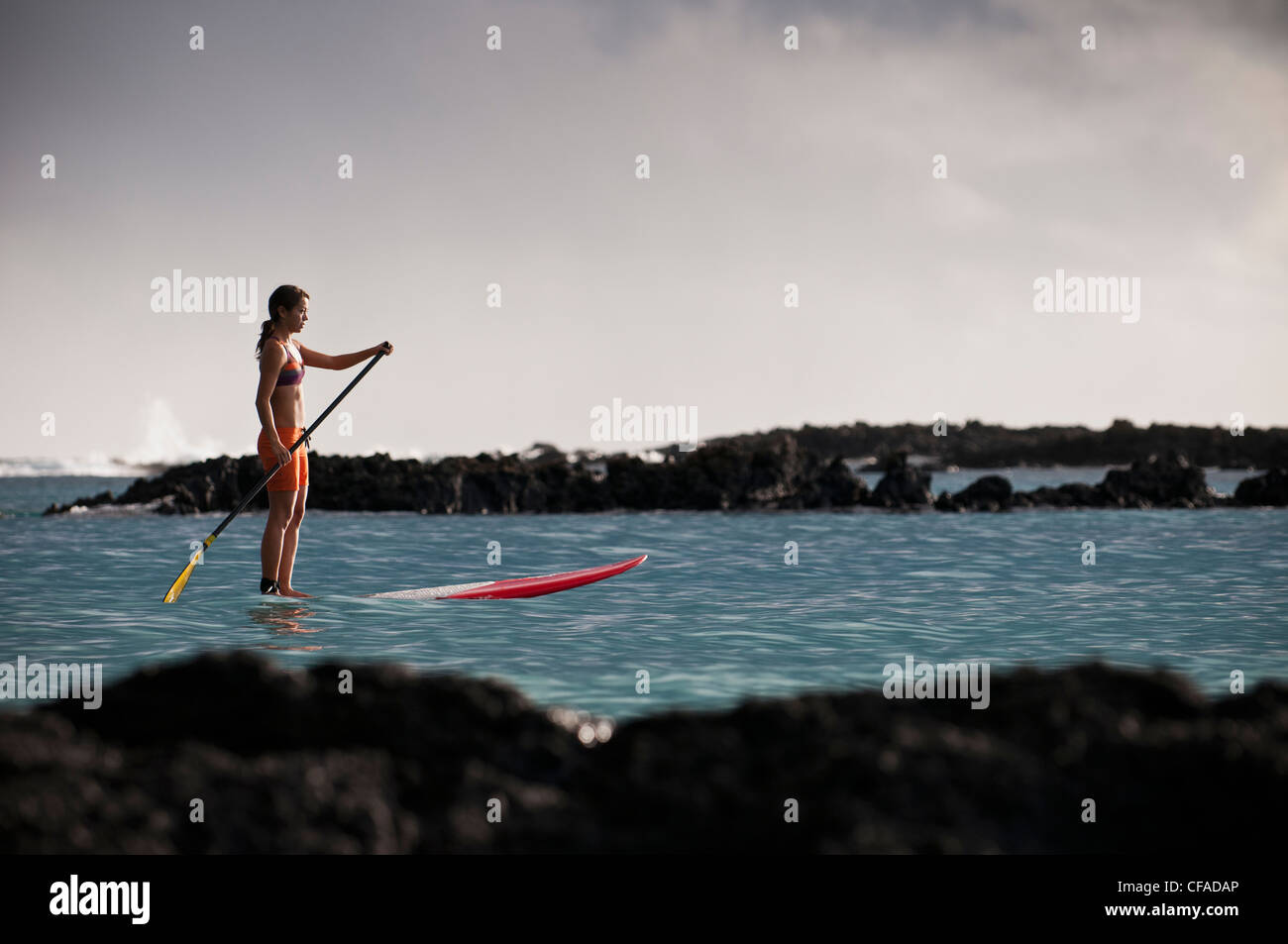 Surfer paddling surfboard in ocean Stock Photo - Alamy