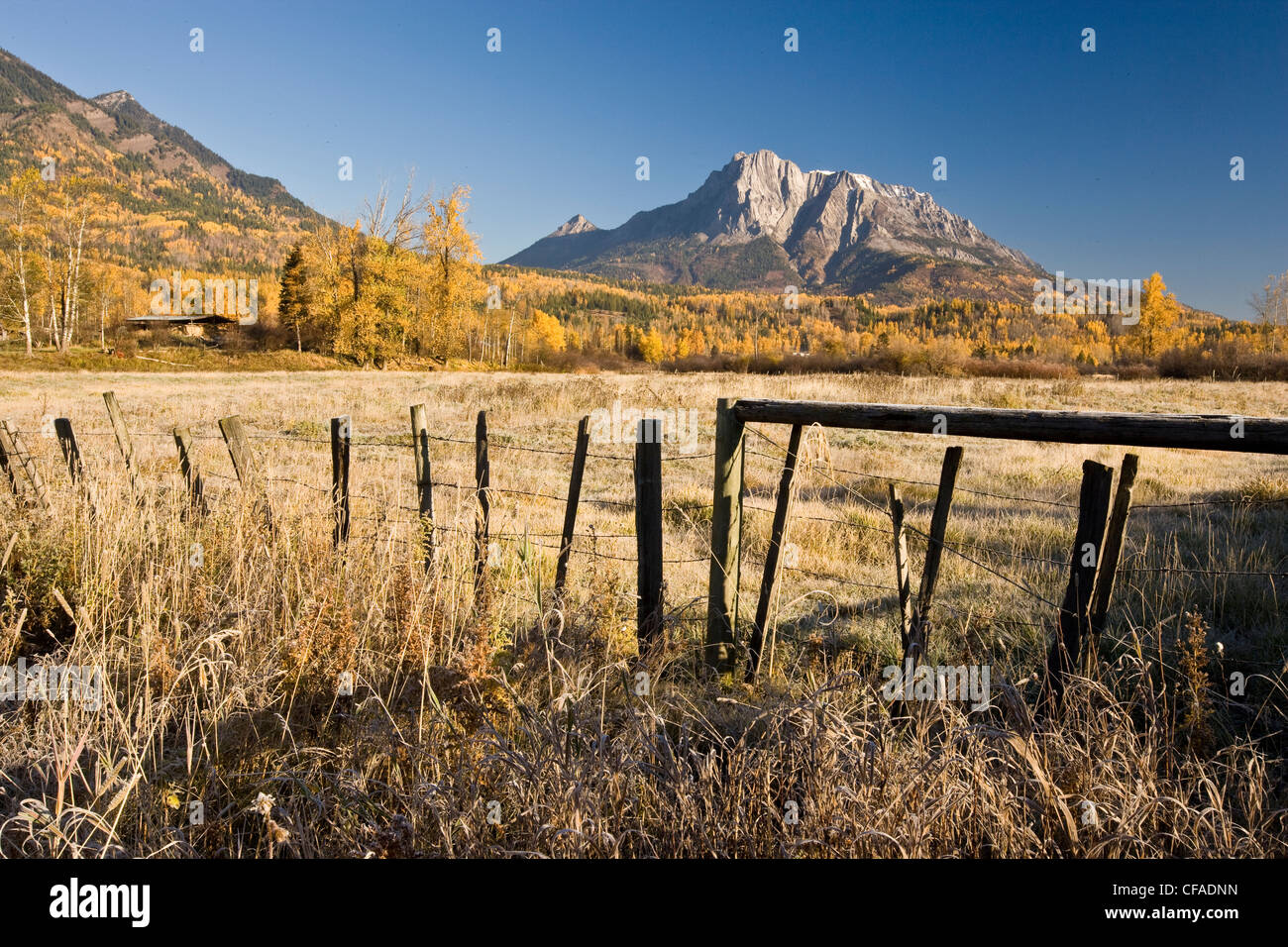 Hosmer mountain hi-res stock photography and images - Alamy