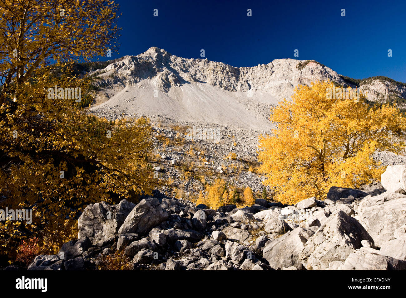 Frank slide in the crowsnest pass hi-res stock photography and images ...