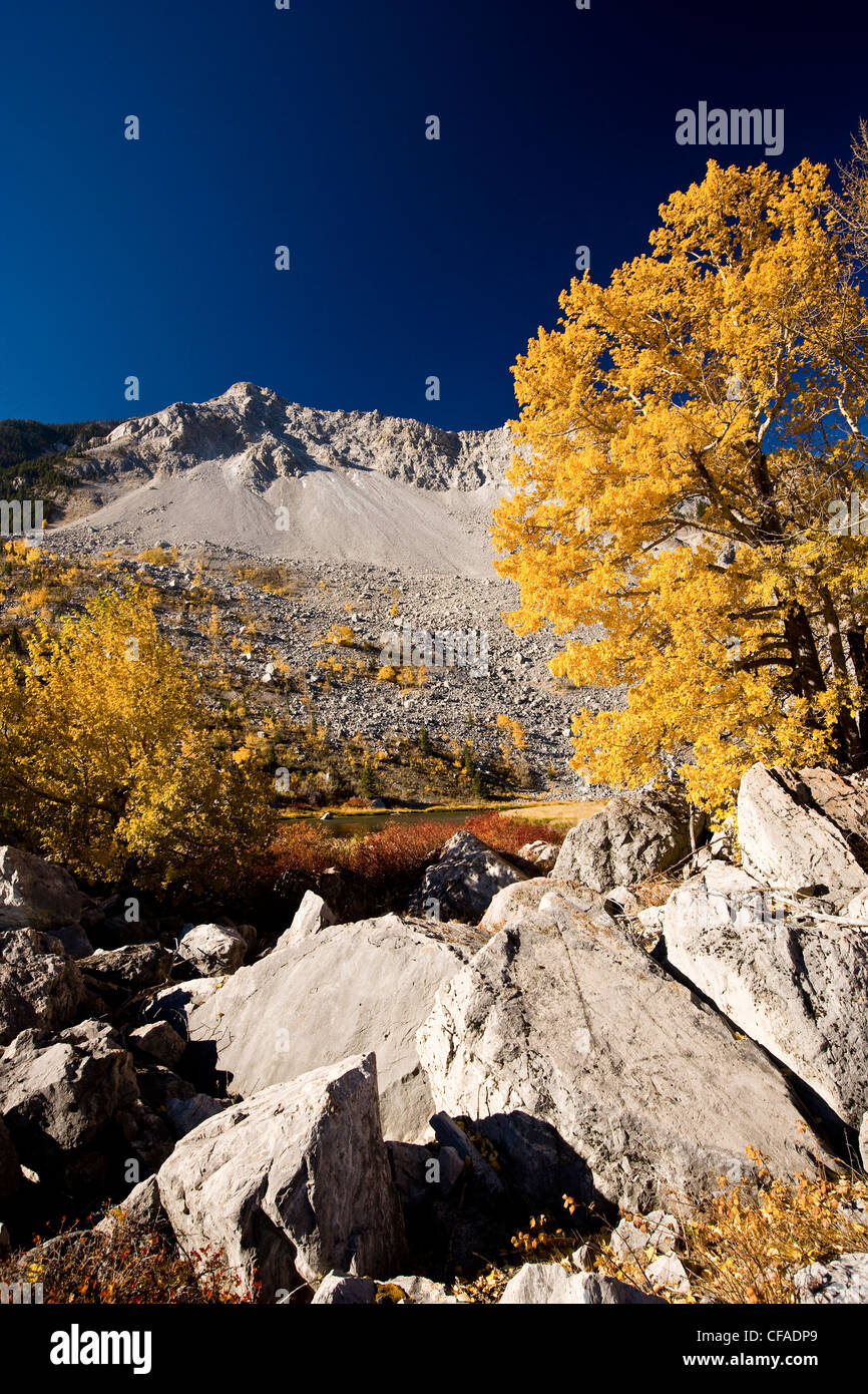 Frank slide hi-res stock photography and images - Alamy