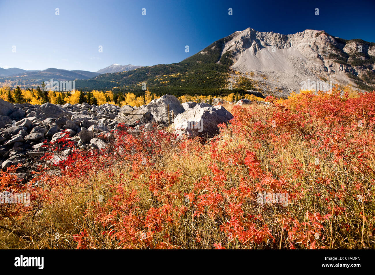 Autumn at Frank Slide in Crowsnest Pass, Alberta, Canada Stock Photo ...