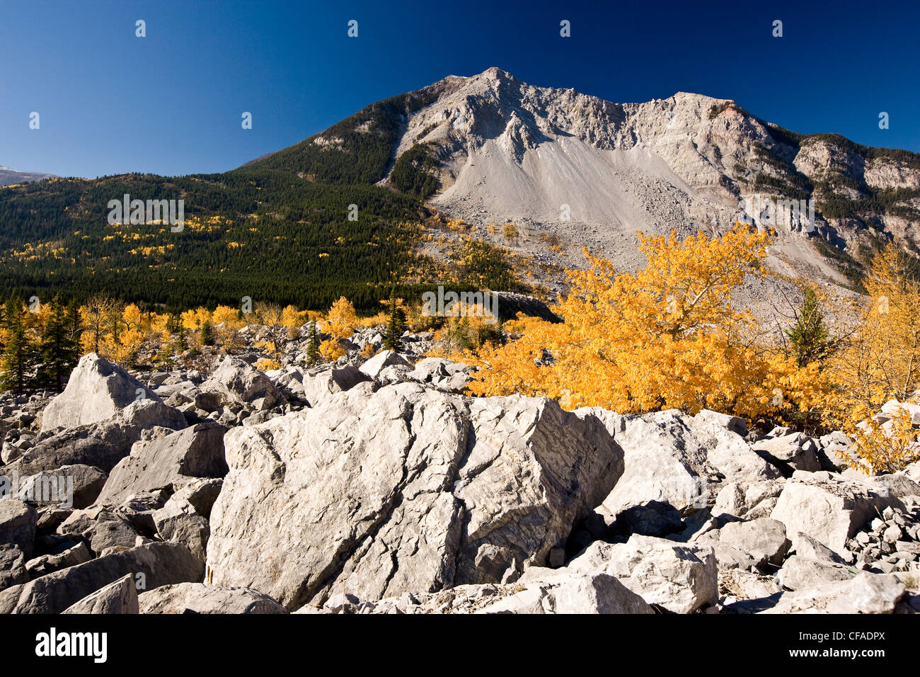 Frank Landslide High Resolution Stock Photography and Images - Alamy