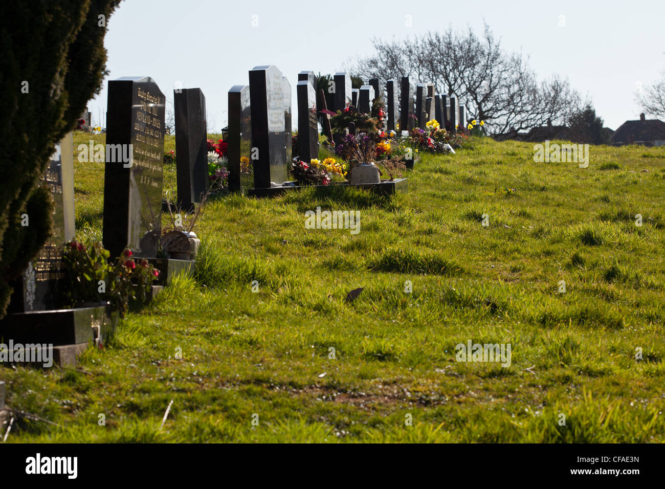 head stones in cemetery with fresh cut flowers,gravestones in graveyard ...