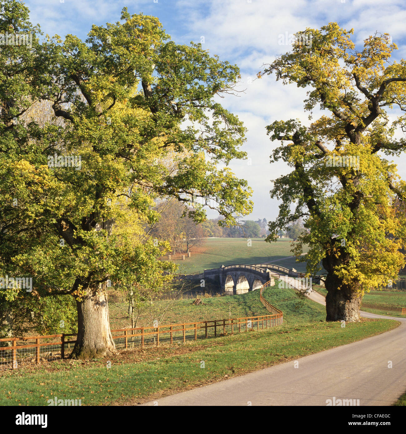 Road over stone bridge in parkland setting with oak trees showing ...