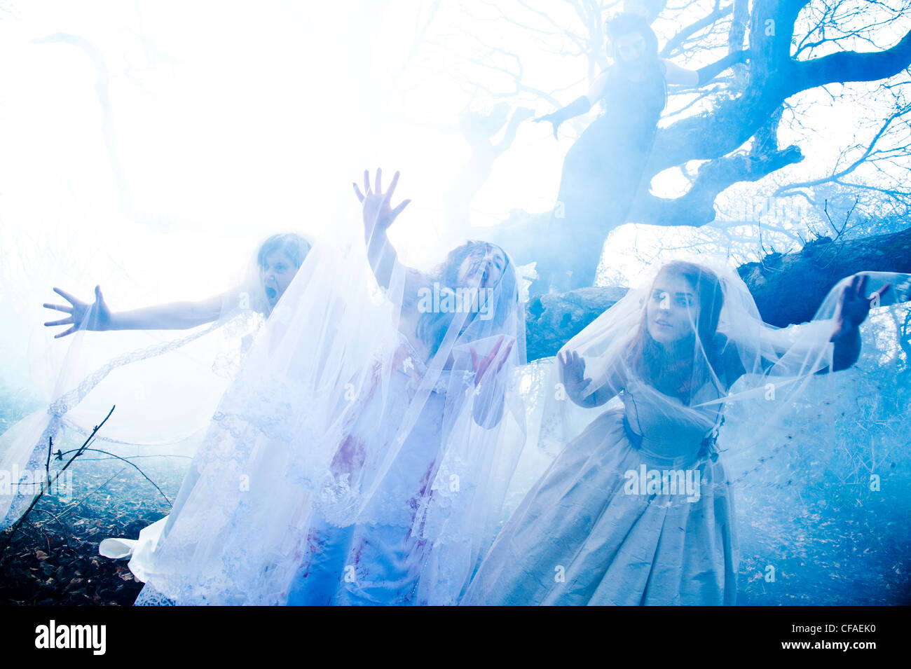 Three young women dressed as brides taking part in a Zombie bride ...