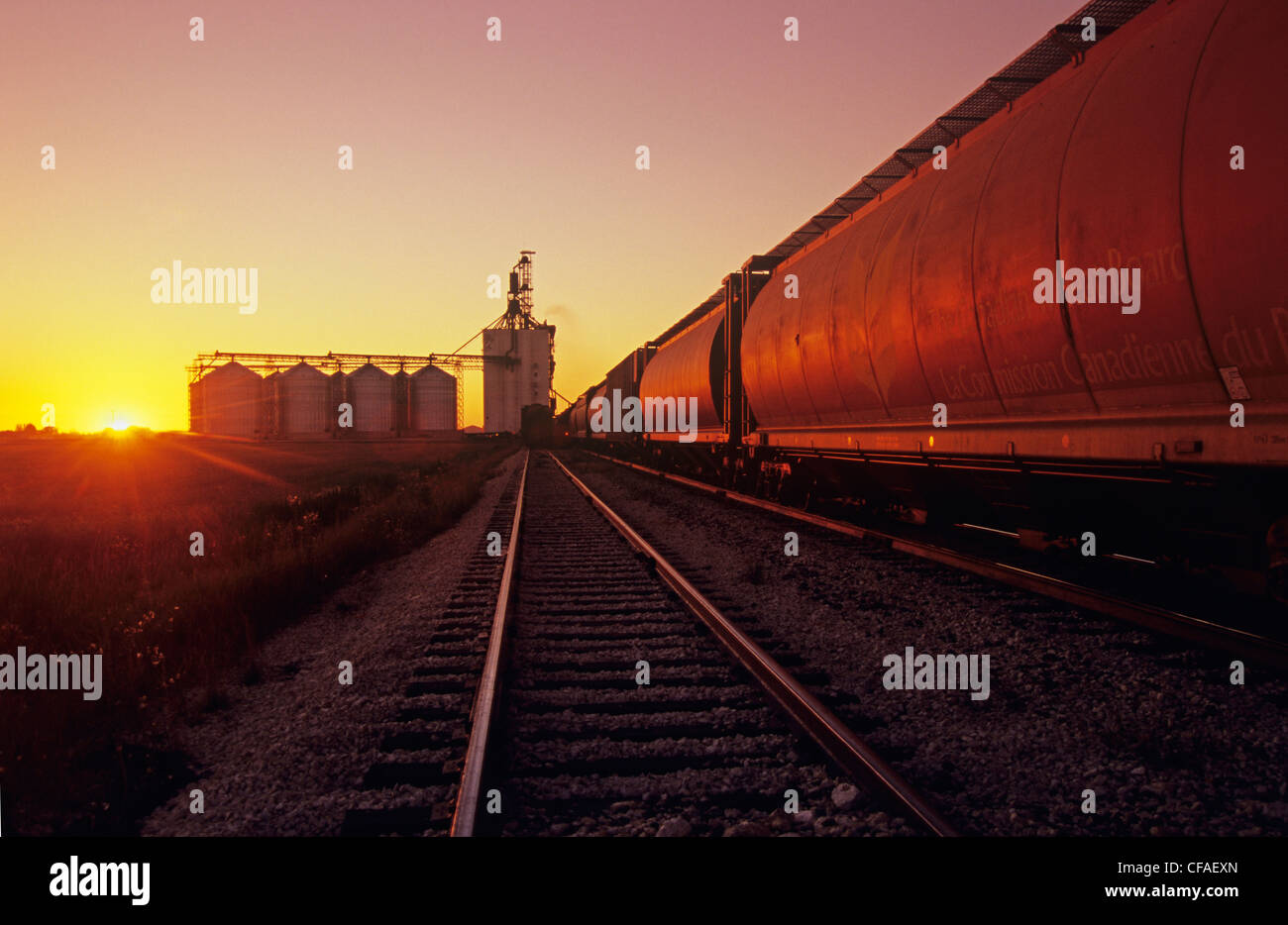 Sunrise, inland grain terminal with grain hopper cars to be loaded in ...