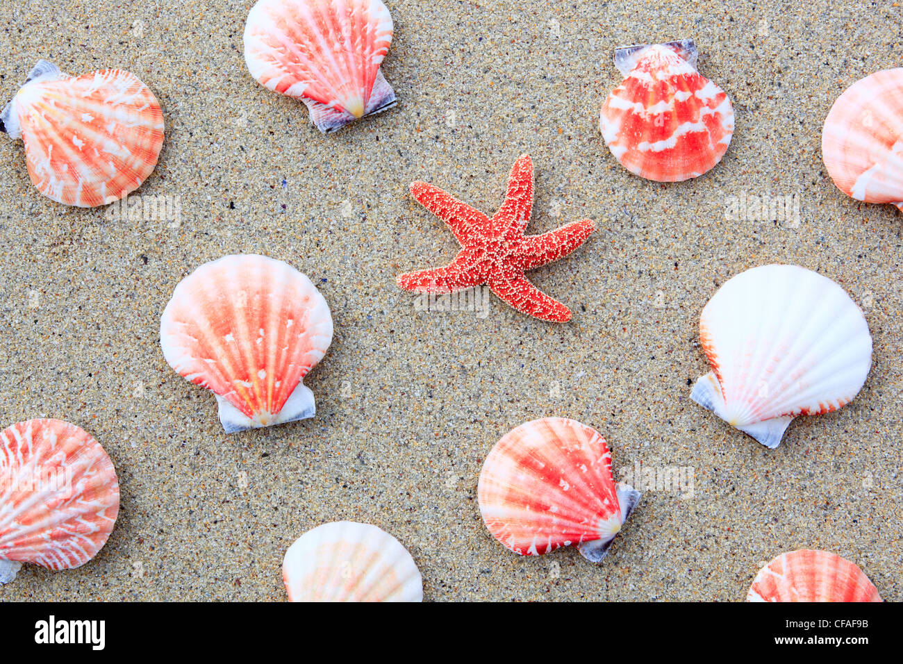 Vexillum hi-res stock photography and images - Alamy