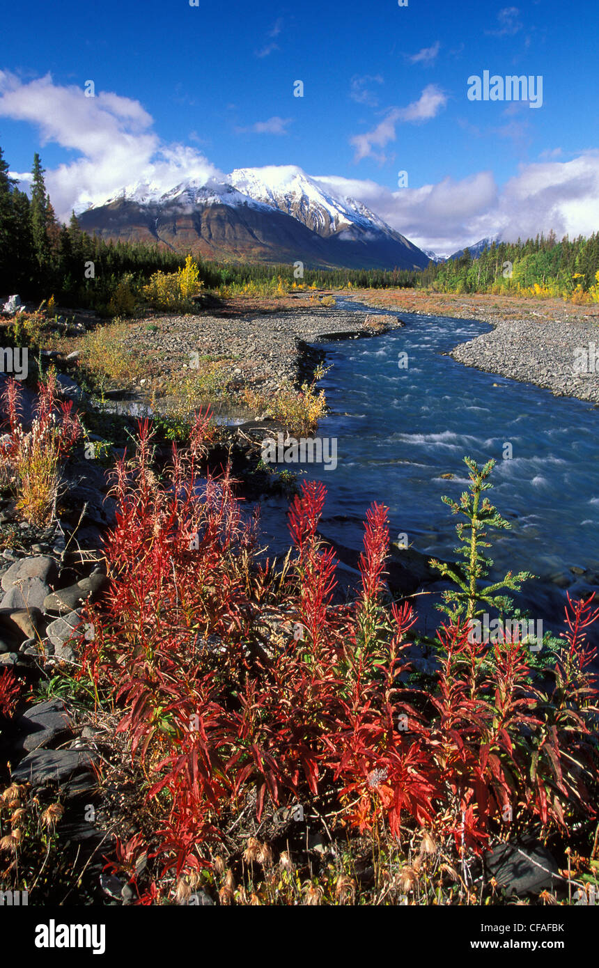 Autumn kluane national park mountain hi-res stock photography and ...