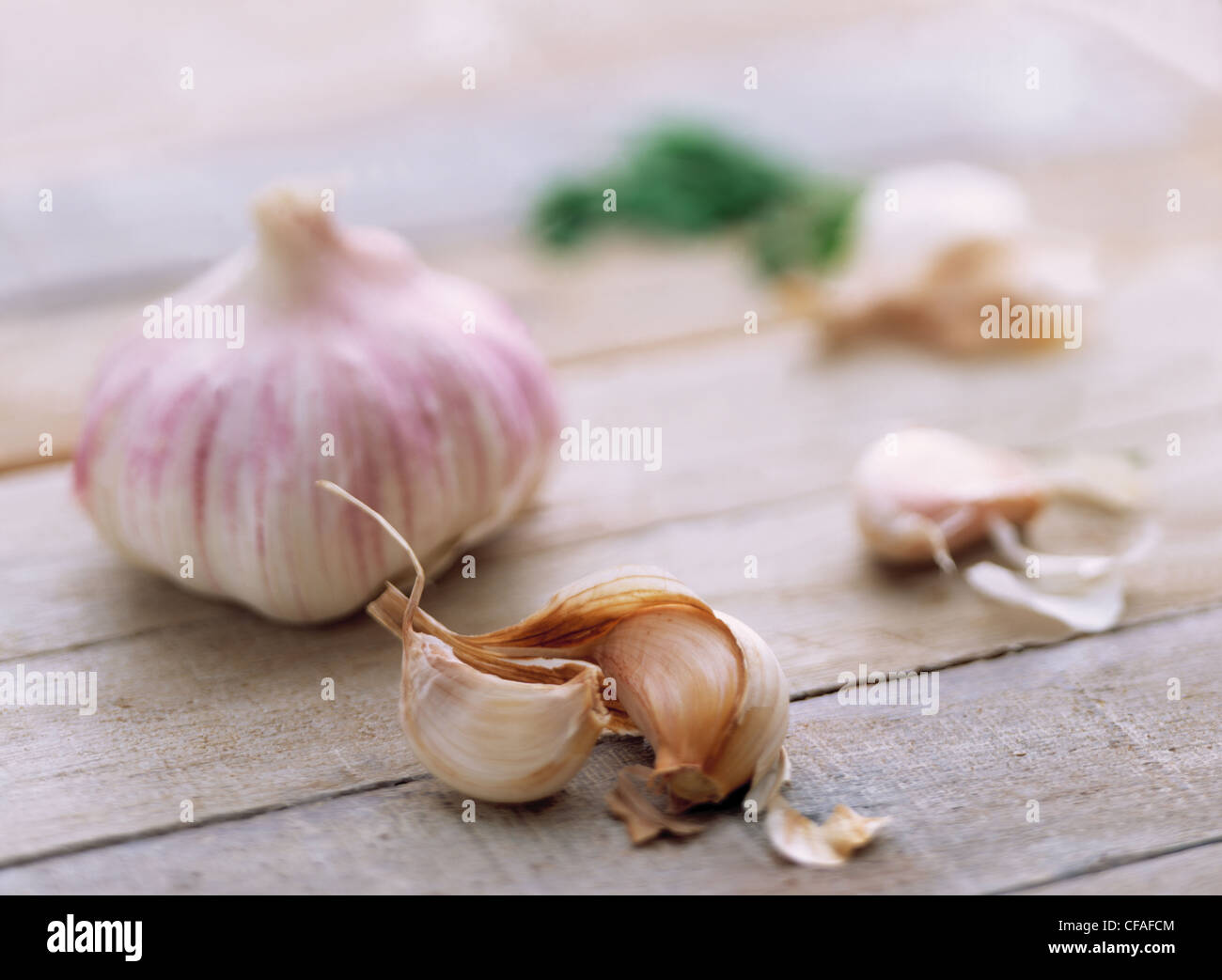 Garlic Still Life High Resolution Stock Photography and Images - Alamy