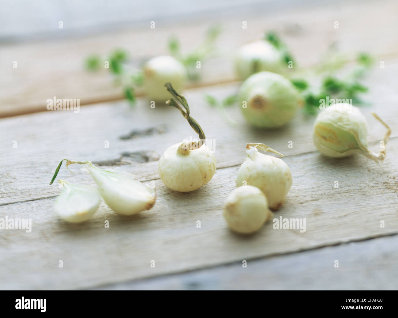 Still: Silverskin onions Stock Photo - Alamy
