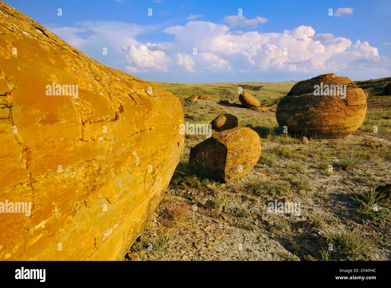 Concretions in sandstone hi-res stock photography and images - Alamy
