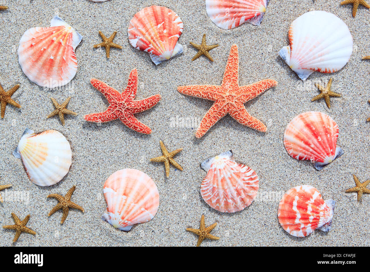 Vexillum hi-res stock photography and images - Alamy