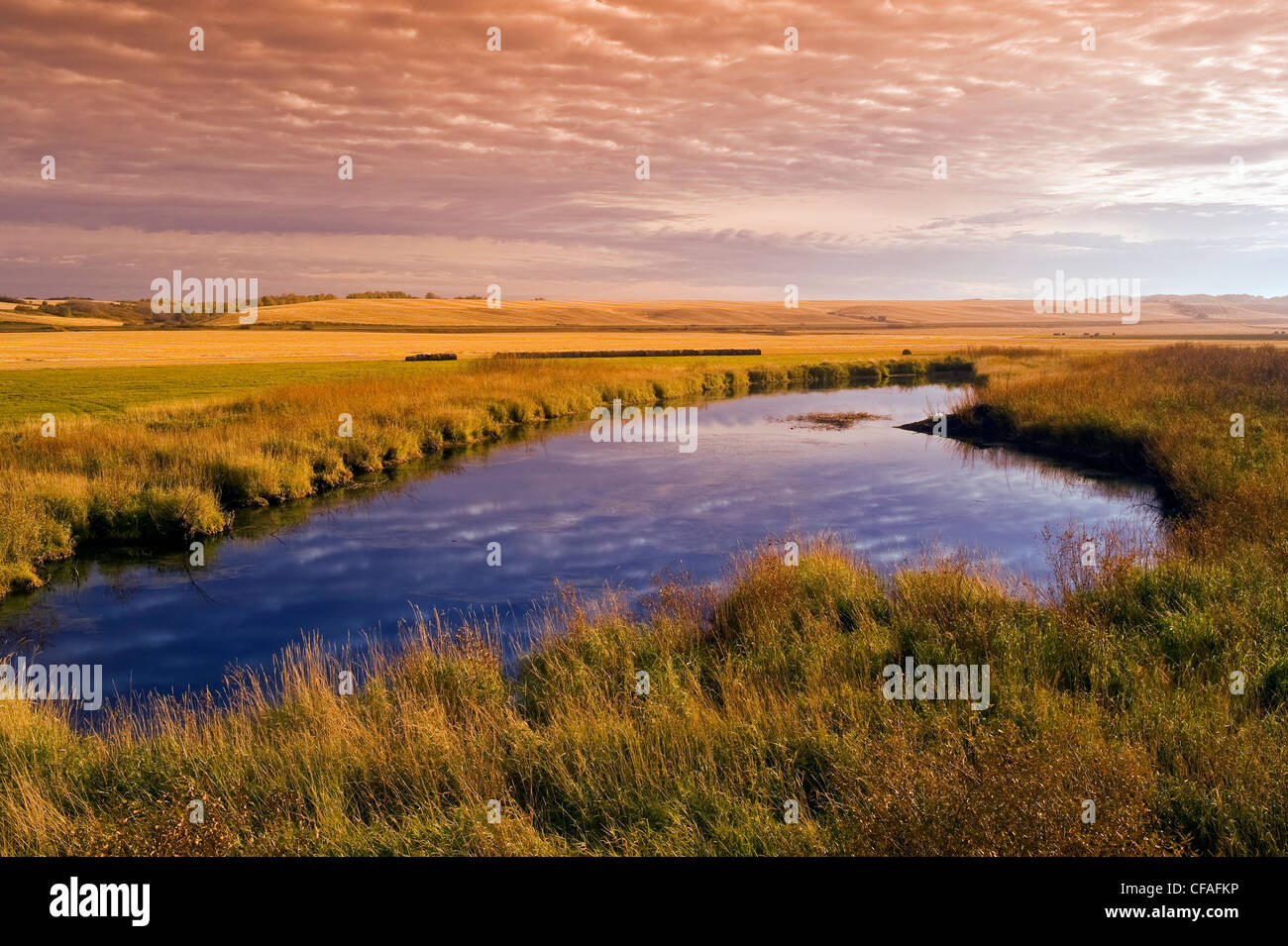 prairie landscape with slough in the foreground, near Kamsack ...