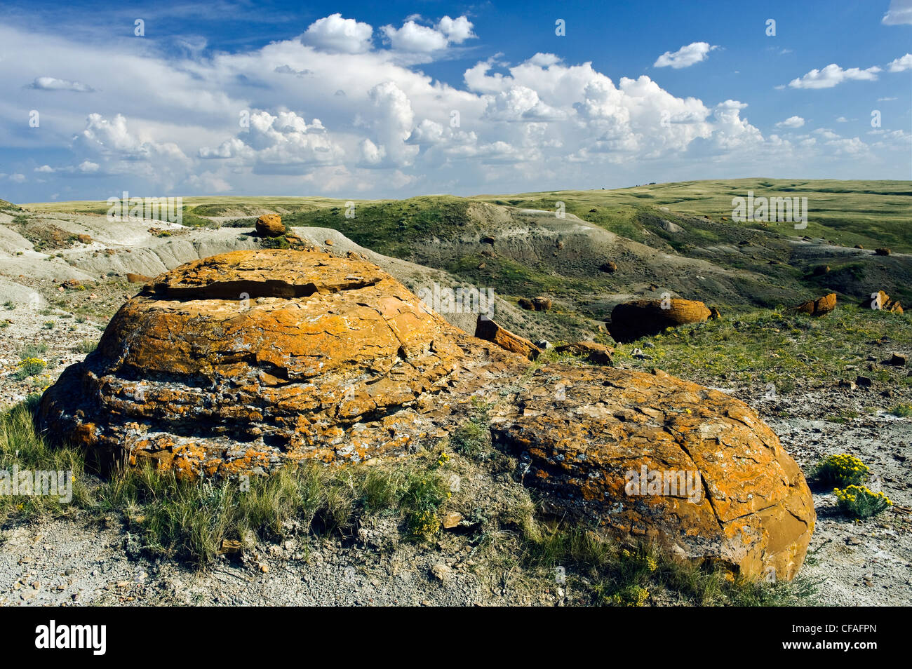 Geology concretions sandstone hi-res stock photography and images - Alamy