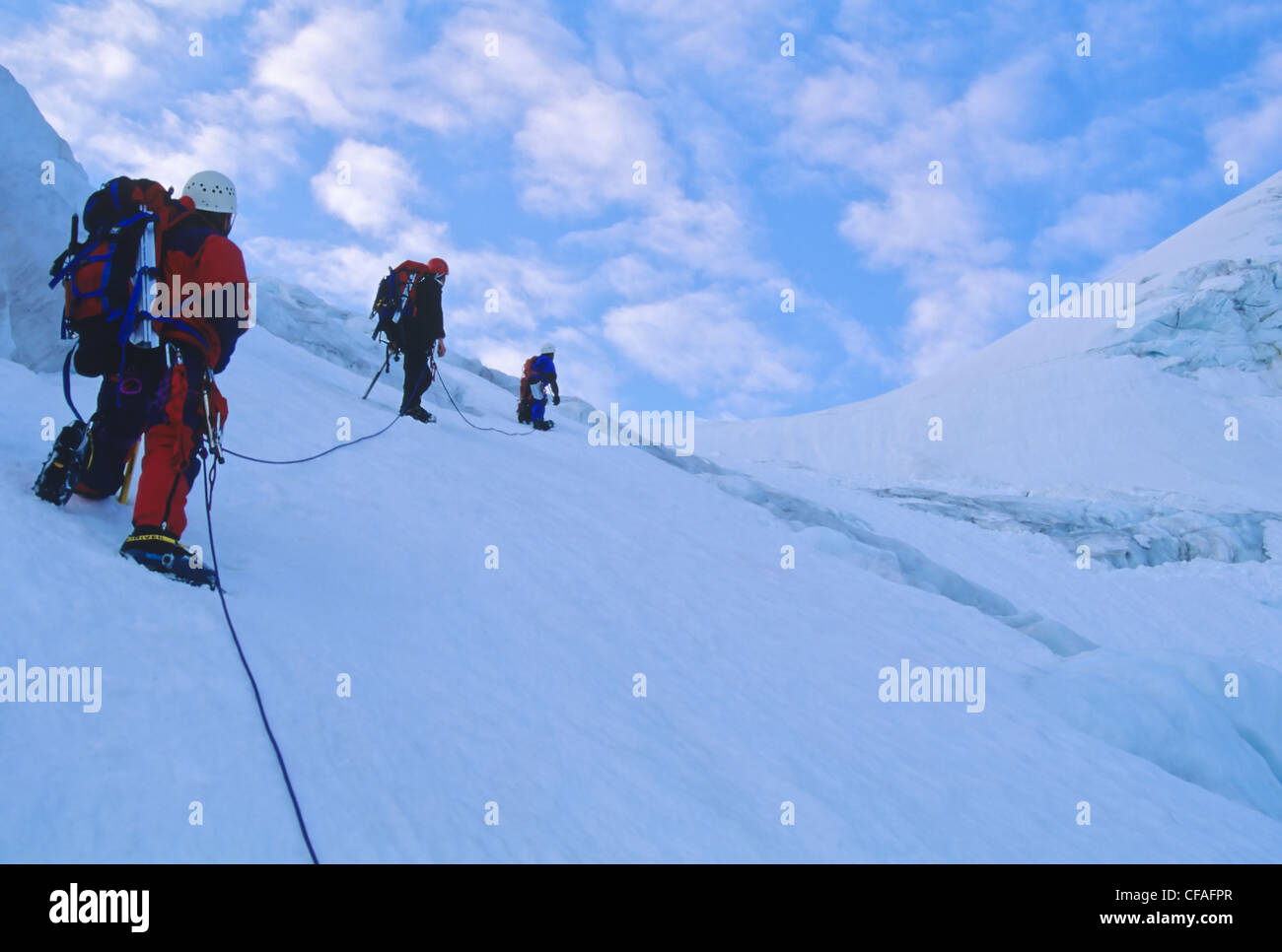 Climbers in the early morning heading up the Matier Glacier, Joffre ...