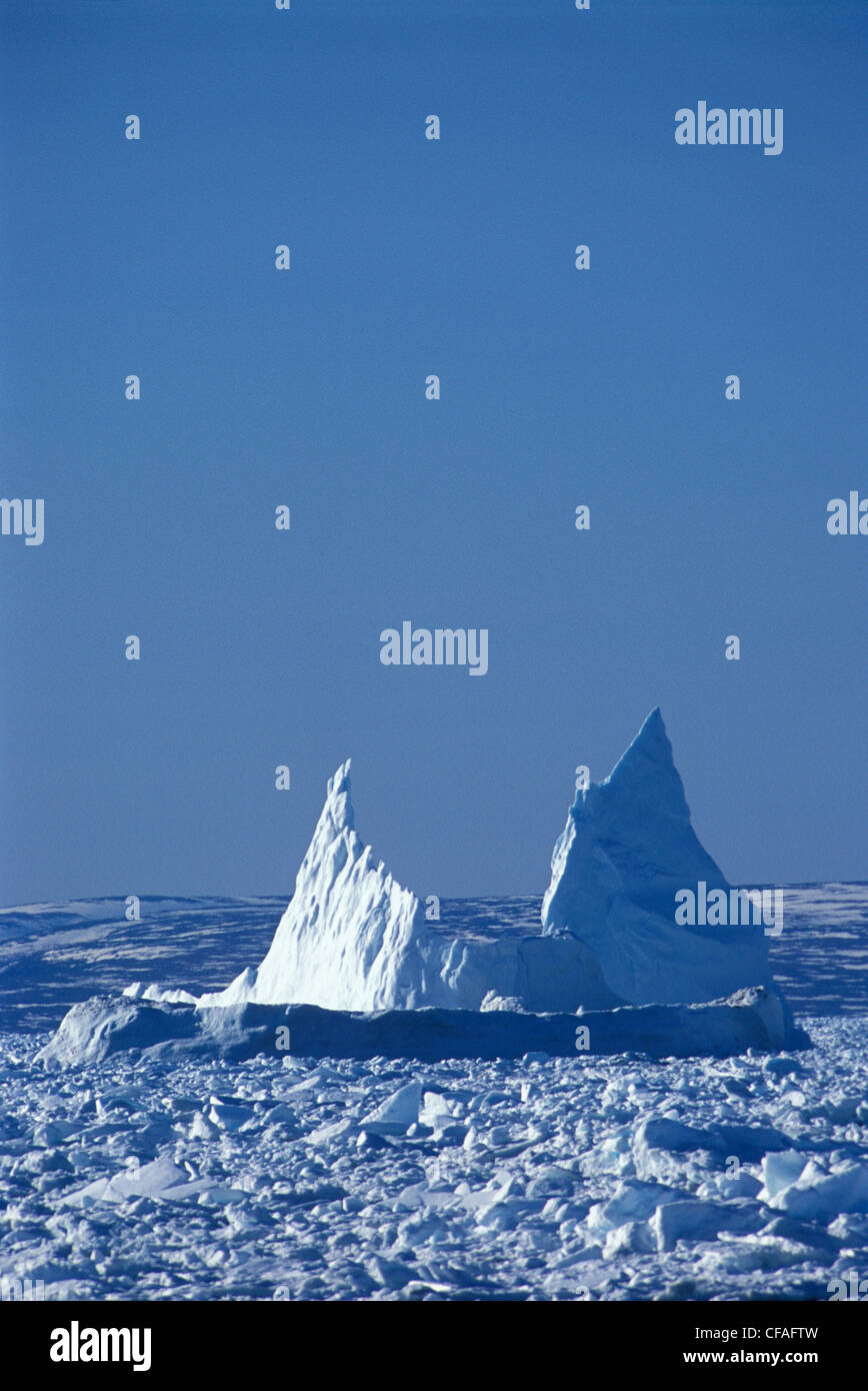 Belle Wilson High Resolution Stock Photography and Images - Alamy