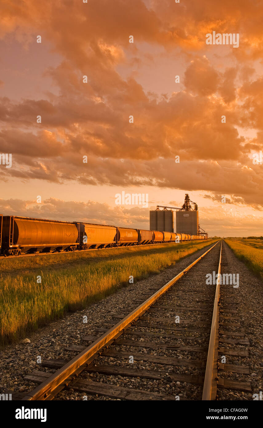 inland grain terminal with rail hopper cars in the foreground, near ...
