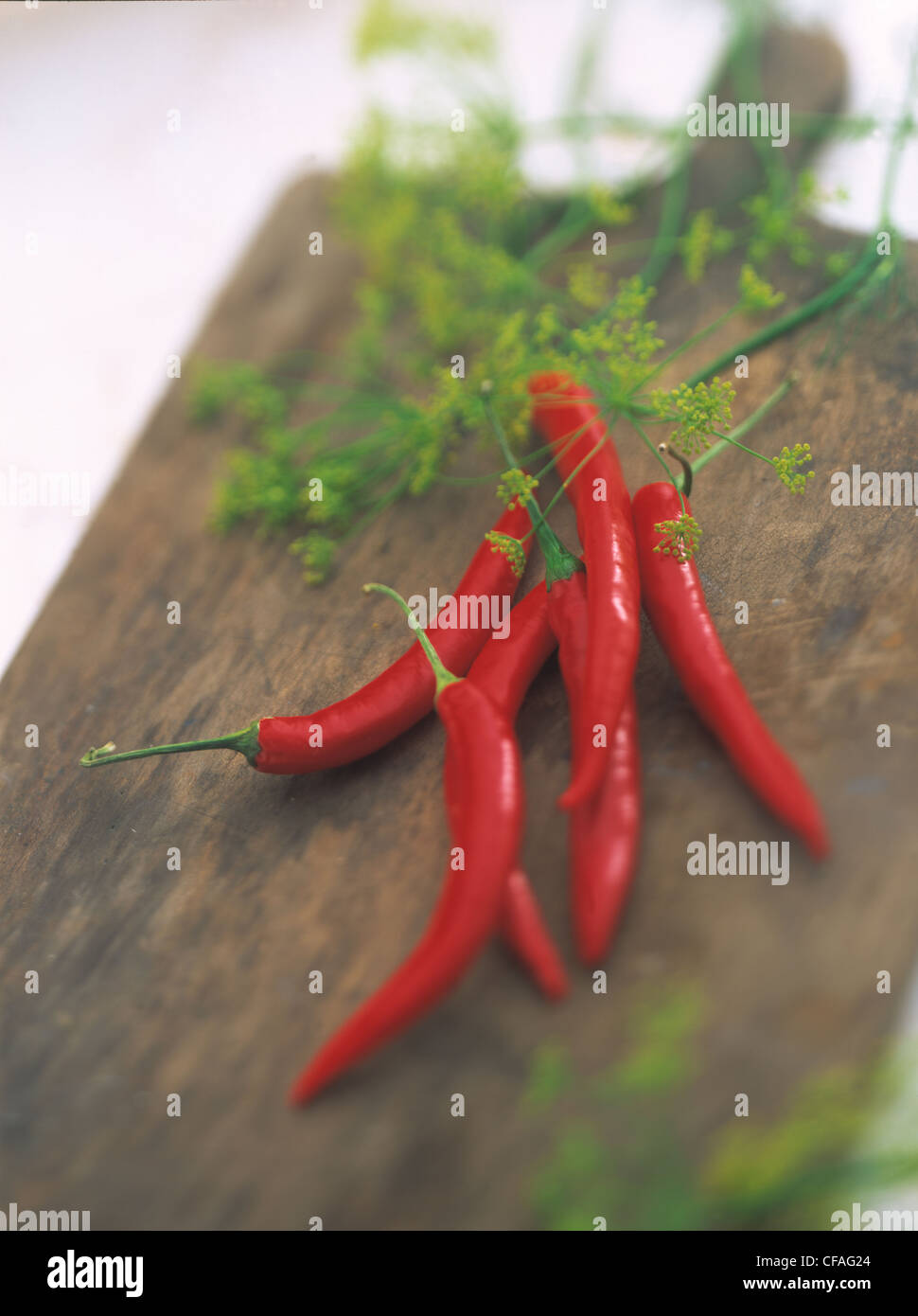 Still: Kenia - chili Stock Photo - Alamy