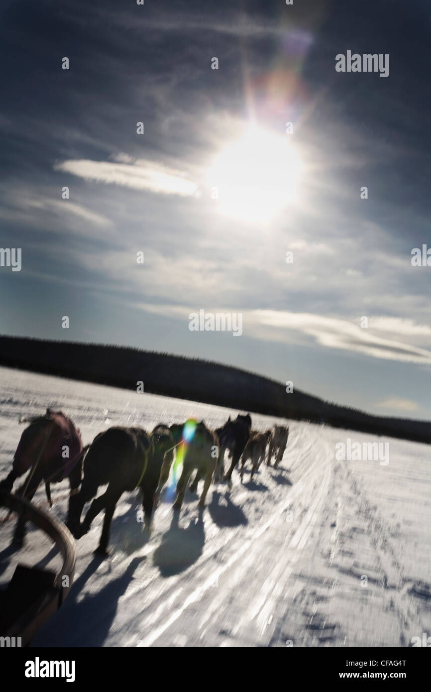 No in team go hi-res stock photography and images - Alamy