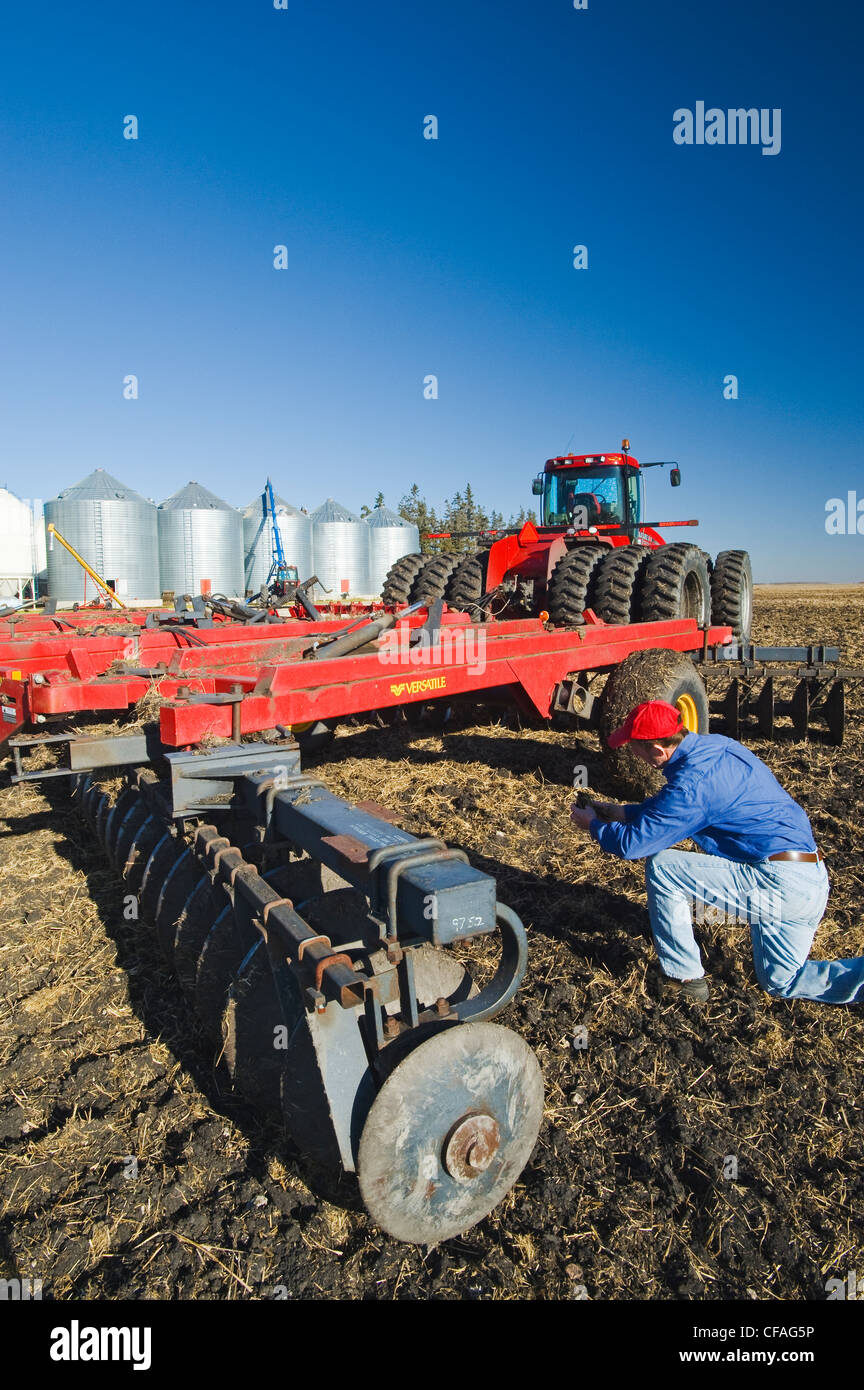 man holds newly cultivated soil wheat stubble Stock Photo - Alamy