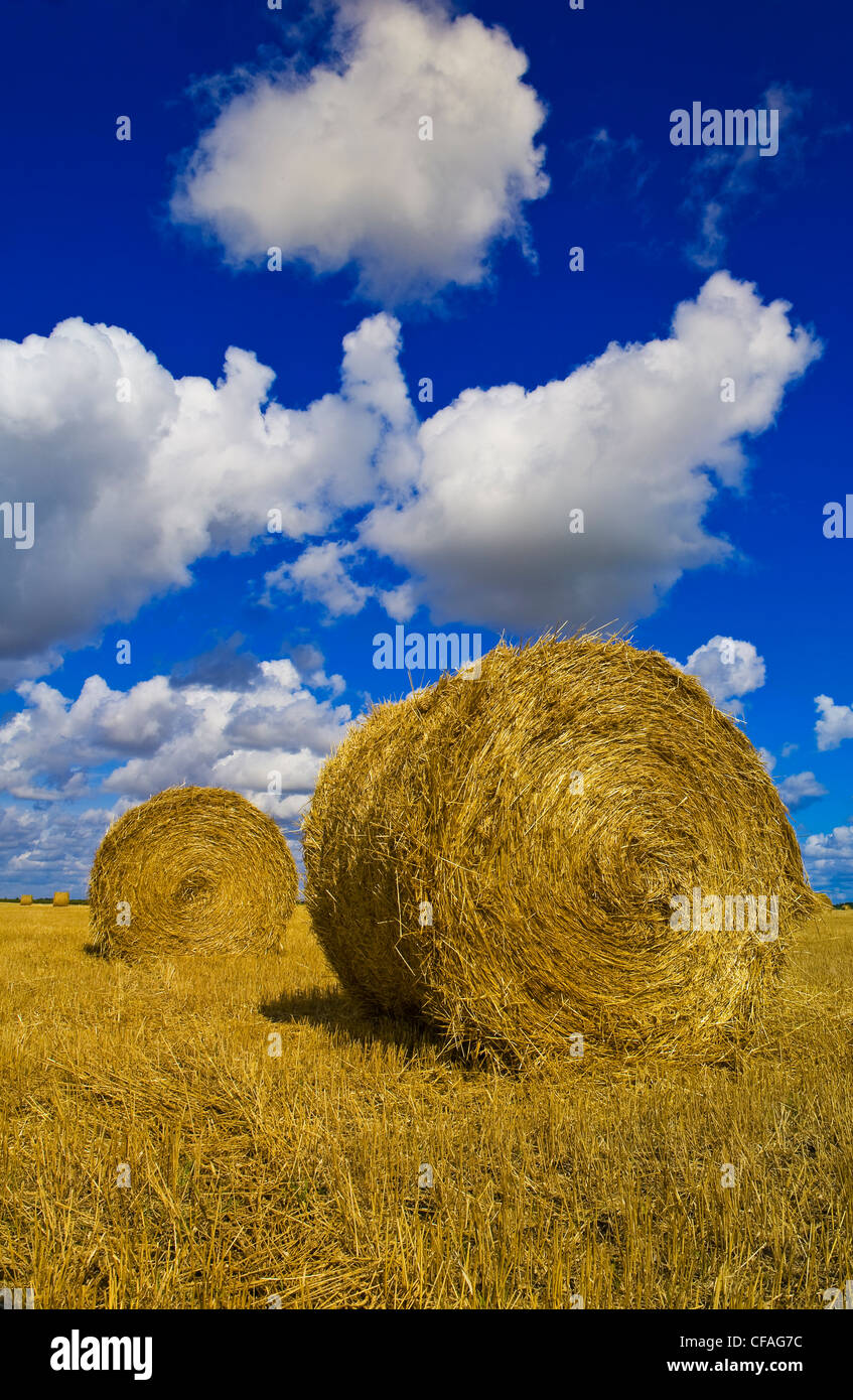 grain straw rolls stubble field sky filled Stock Photo - Alamy