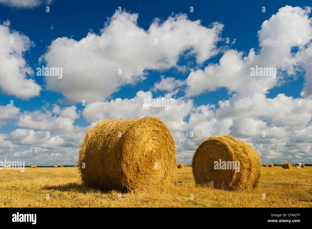 grain straw rolls stubble field sky filled Stock Photo - Alamy