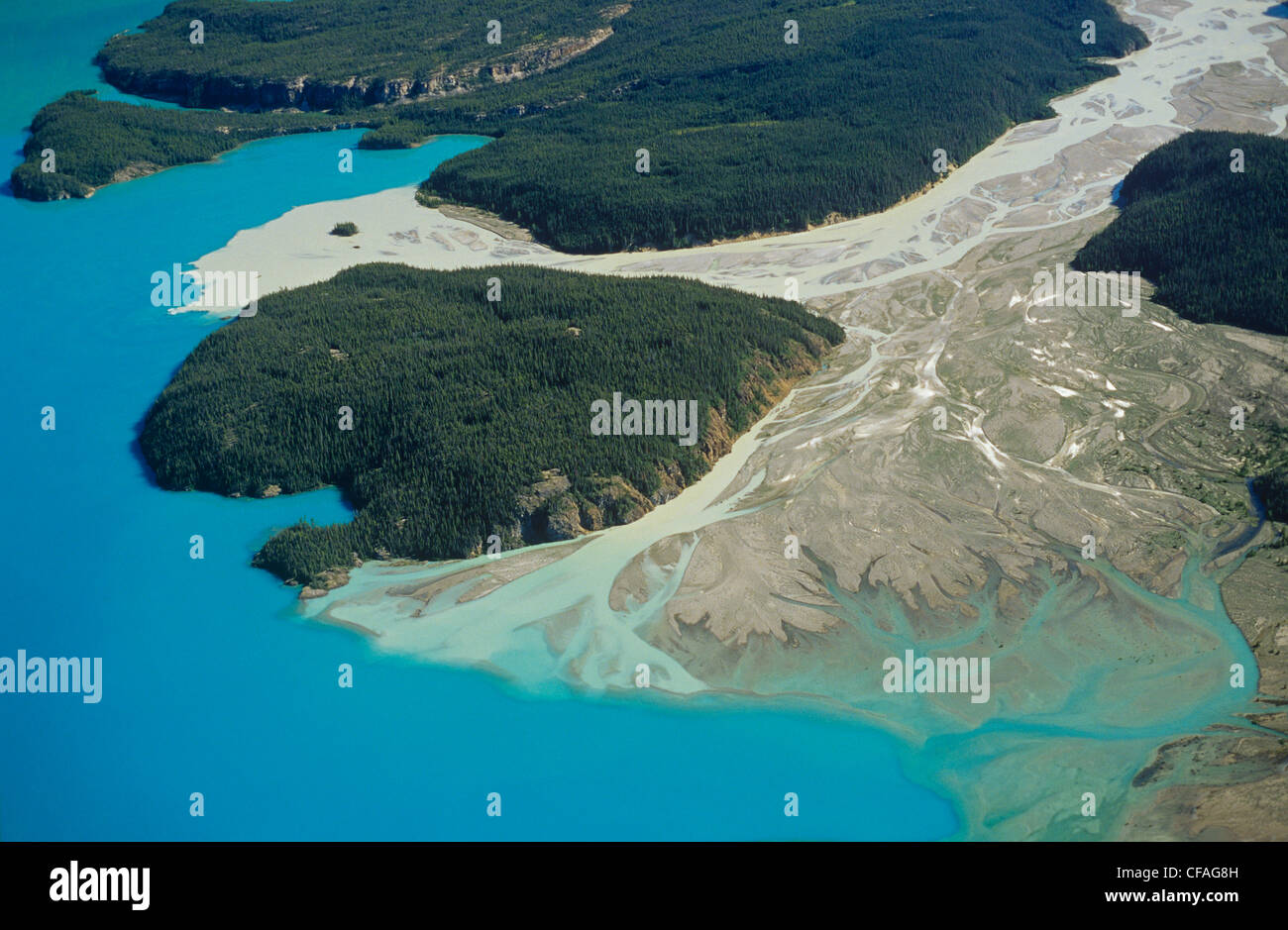 Aerial view of Llewellyn Glacier meltwater into Atlin Lake, Atlin ...