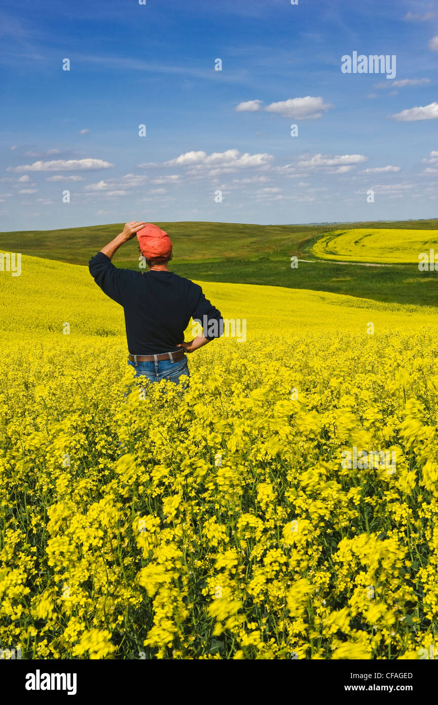Wind blowing hat hi-res stock photography and images - Alamy