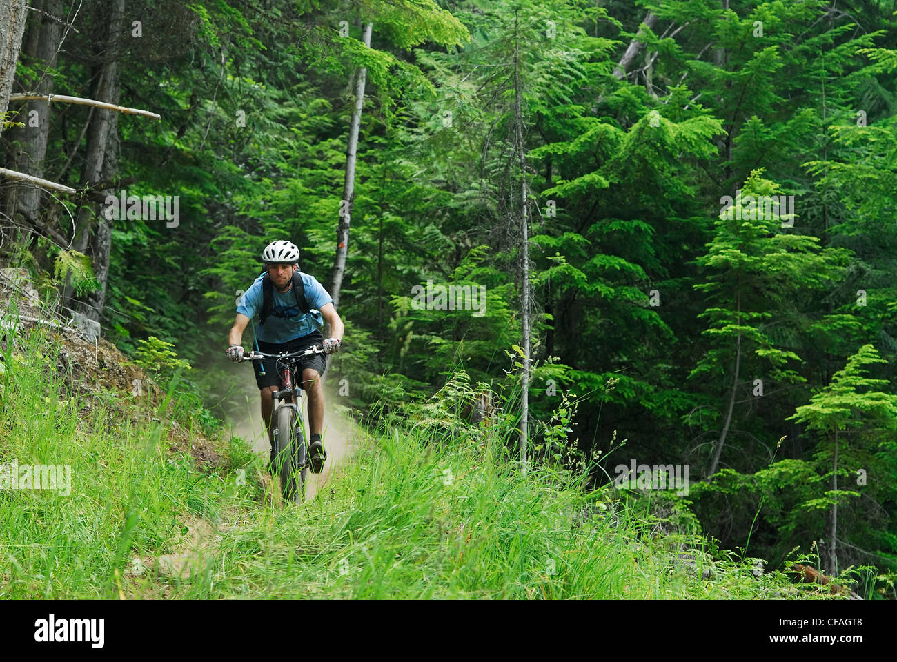 Man bikes the Seven Summits trail, Rossland, British Columbia, Canada ...