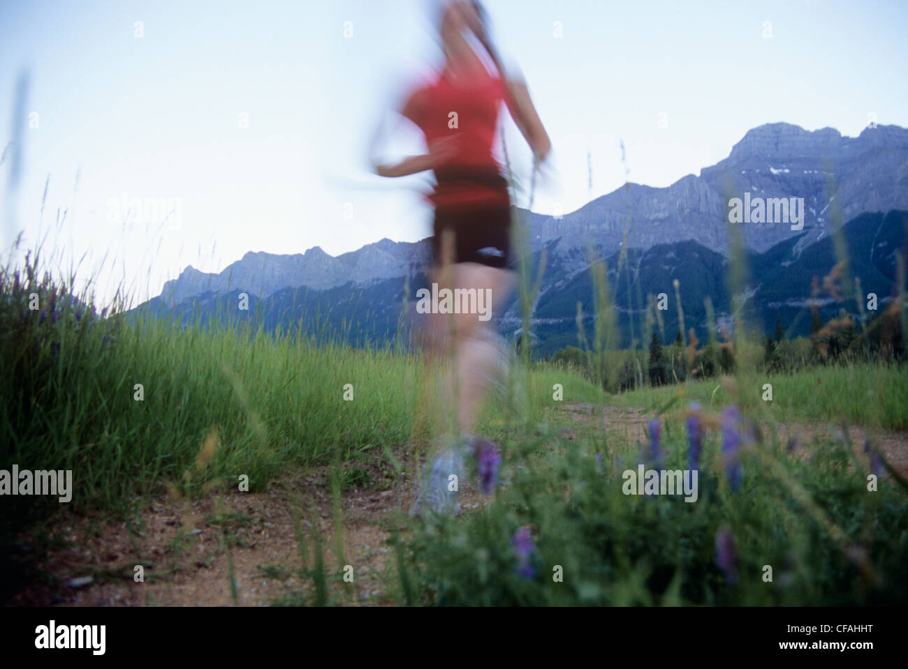 Woman trail running, Banff, Alberta , Canada Stock Photo - Alamy