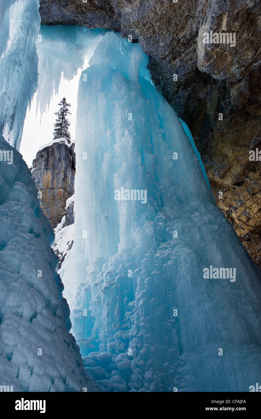 Frozen panther falls banff hi-res stock photography and images - Alamy