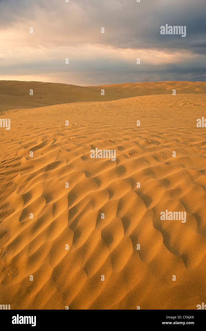 Sceptre Saskatchewan High Resolution Stock Photography and Images - Alamy