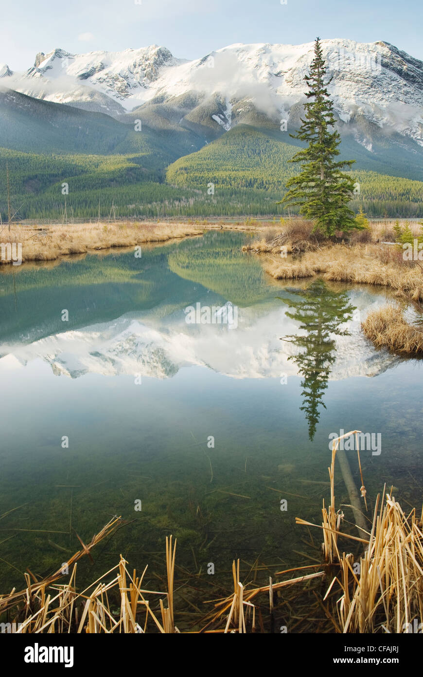 Talbot Lake, Jasper National Park, Alberta, Canada Stock Photo - Alamy